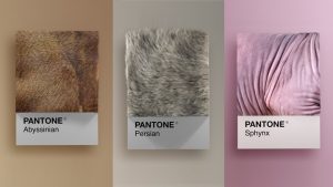 Las diferentes razas de gatos convertidas en colores Pantone - La ...
