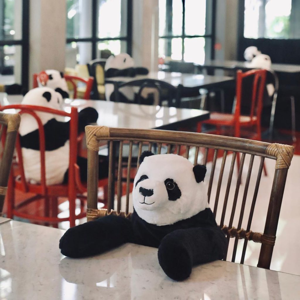 Este restaurante tailandés usa pandas de peluche para mantener la ...